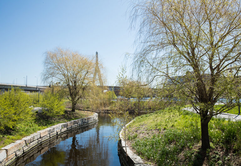 Meet Charles River Floating Wetlands - Sasaki Foundation