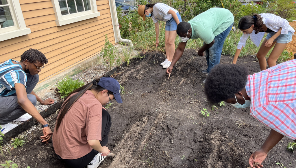 SEED students design classroom gardens for Boston Public Schools ...